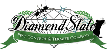 Termites | Diamond State Pest Control